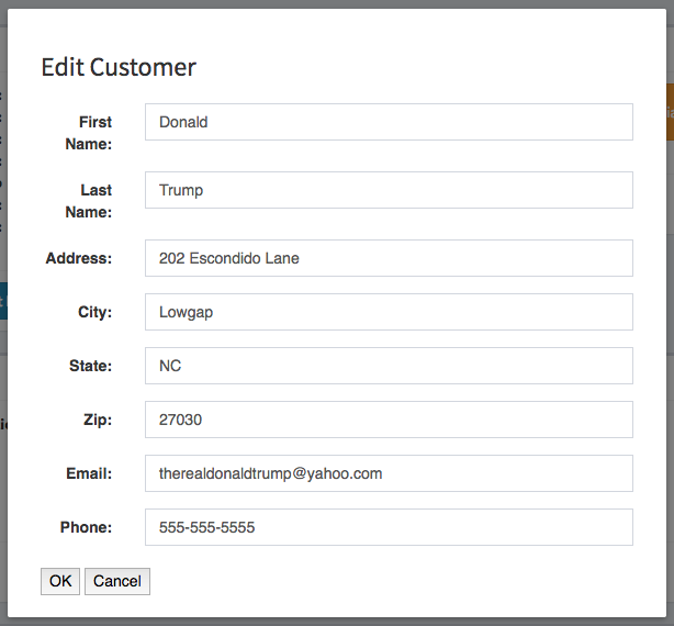 Customer Information Panel | Hibbitts Auto Pro
